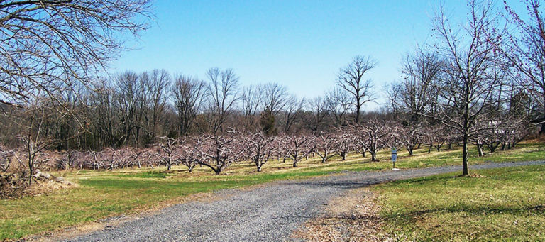 Upper Salford Township: Open Space